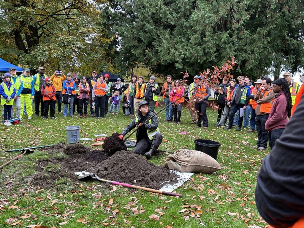 Tree Care & Planting Resources | City of Tacoma