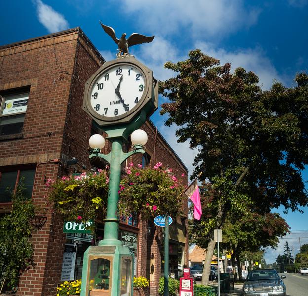 Plan susjedstva okruga Proctor | Grad Tacoma