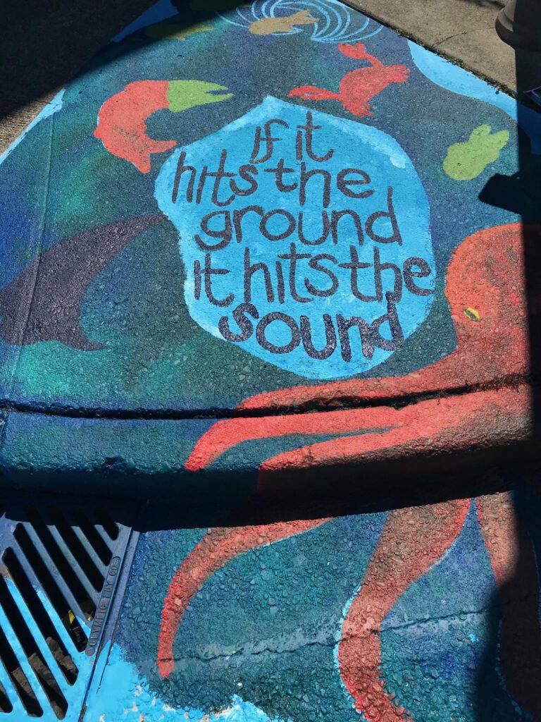 Stormwater Awareness Campaign | City of Tacoma