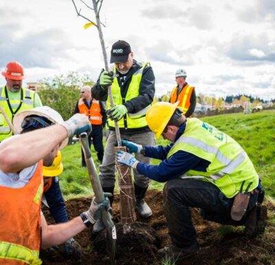 Urban Forestry Program | City of Tacoma