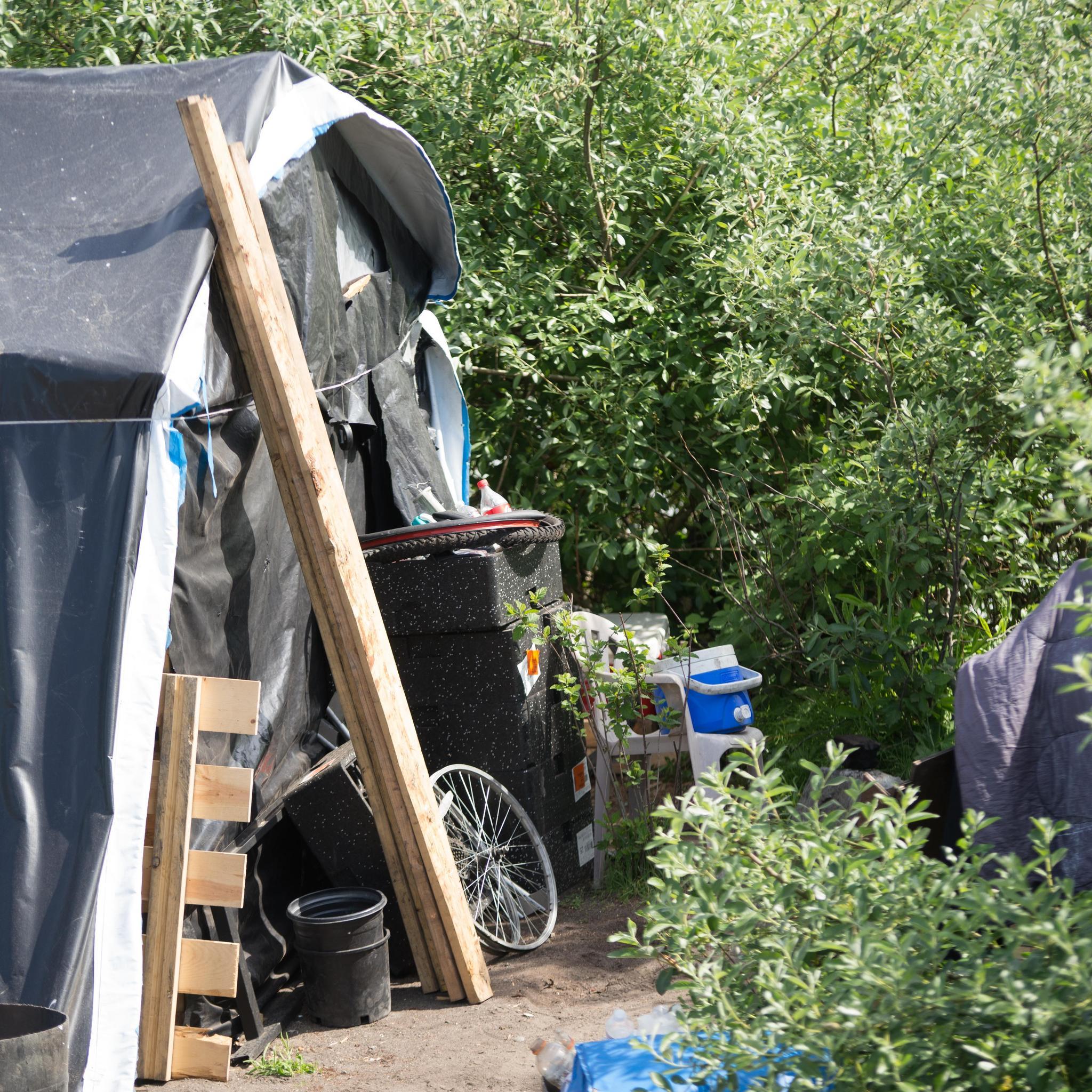 Progress in Addressing Homelessness | City of Tacoma